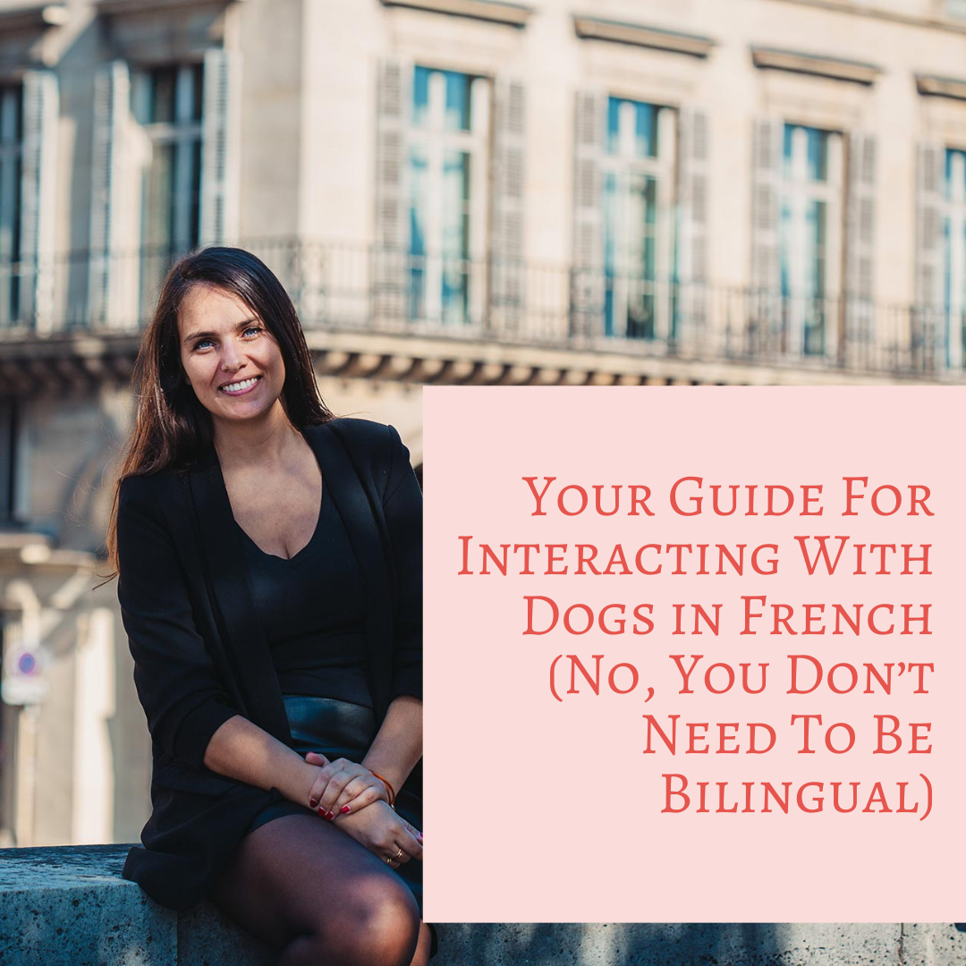 The 10 Brutally Honest Reasons Why You’re Still Scared To Speak French